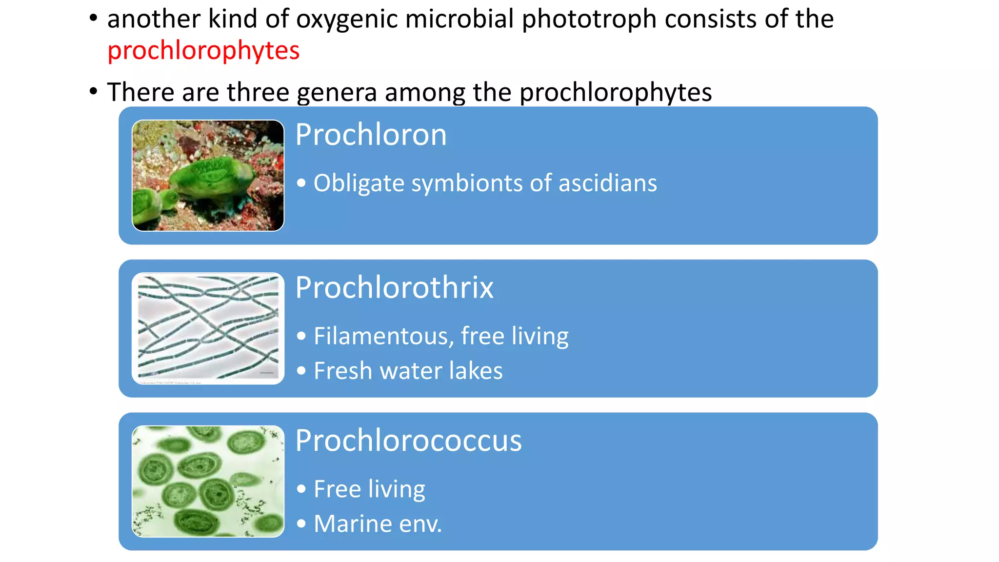 photosynthetic microorganisms (microbial metabolism) | PPTX
