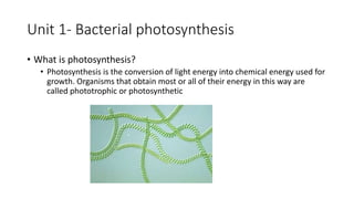 photosynthetic microorganisms (microbial metabolism) | PPTX