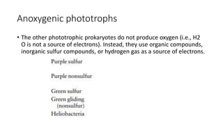 photosynthetic microorganisms (microbial metabolism) | PPTX