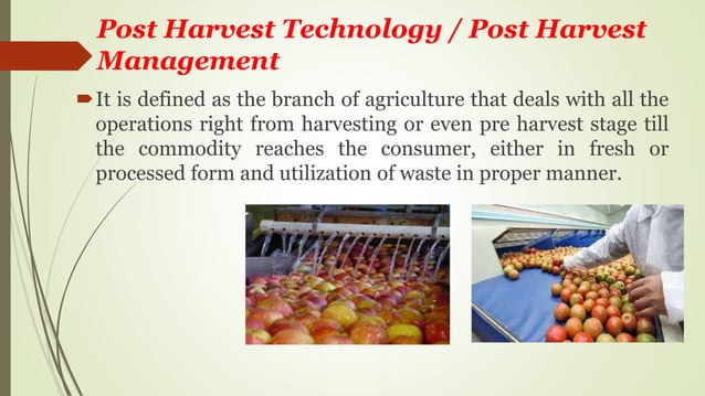 Introduction importance; present status of PHT | PPTX