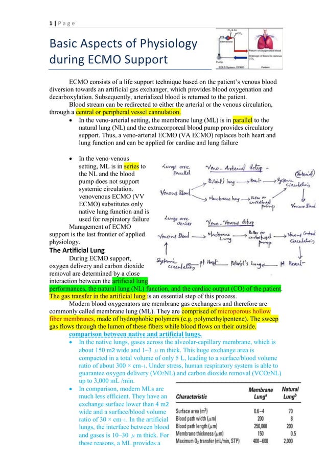 1. basic aspects of physiology during ecmo support | PDF