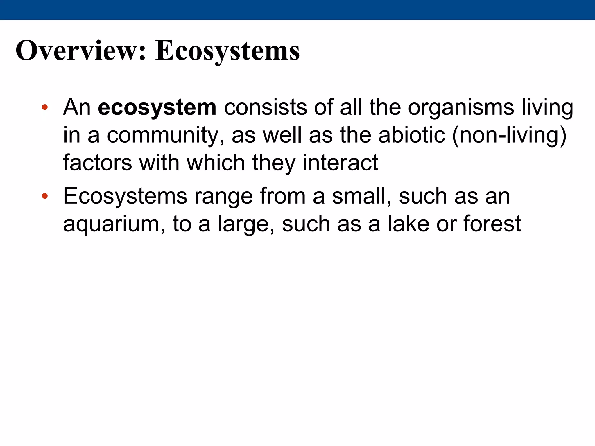 energy flow in ecosystems | PPT | Biological Sciences | Science