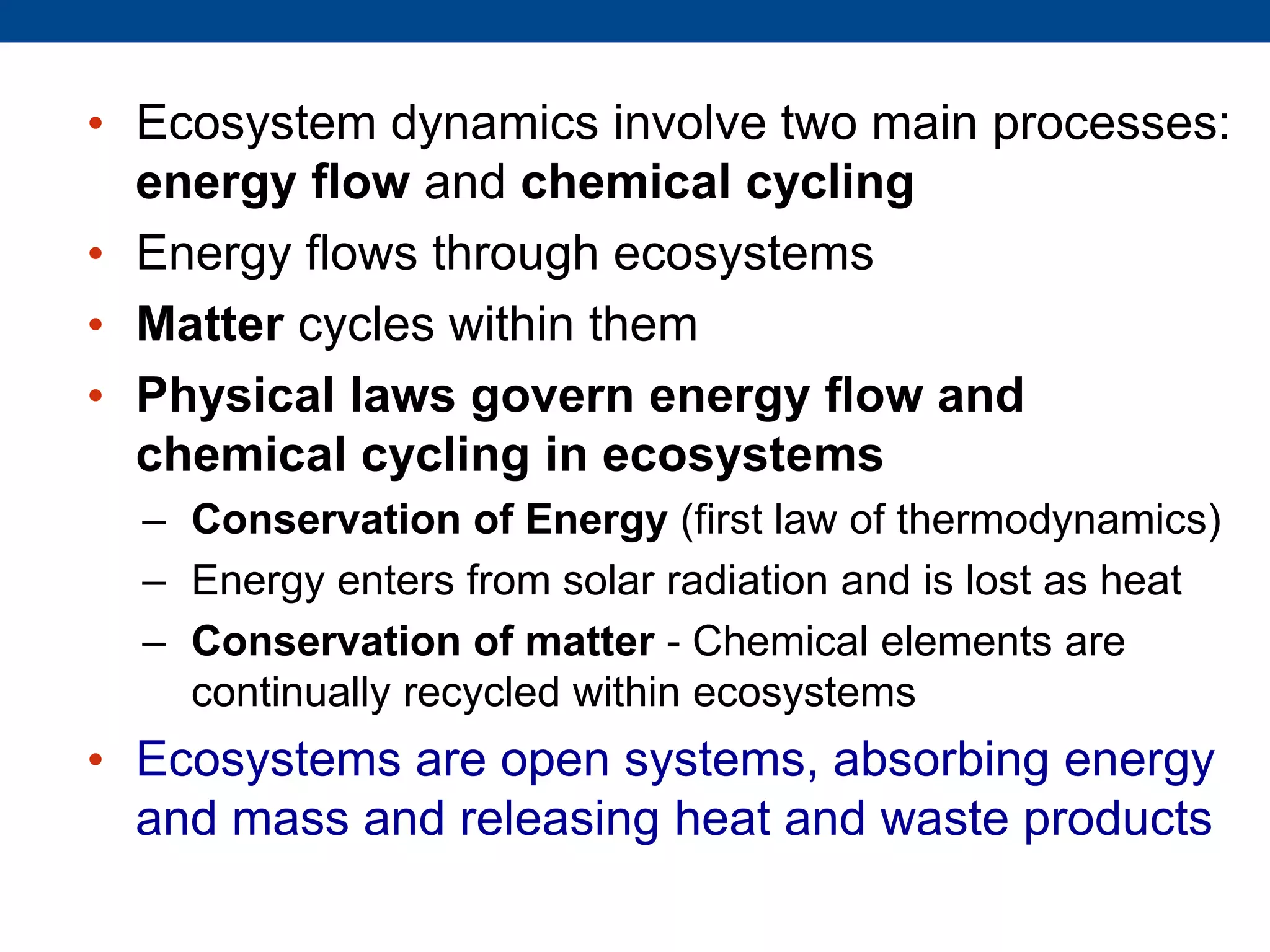 energy flow in ecosystems | PPT | Biological Sciences | Science