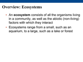 energy flow in ecosystems | PPT | Biological Sciences | Science