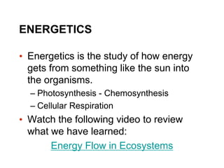energy flow in ecosystems | PPT | Biological Sciences | Science