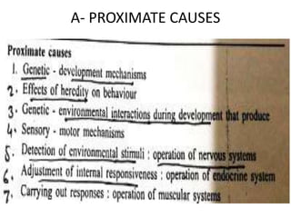 Types of behaviours | PPT
