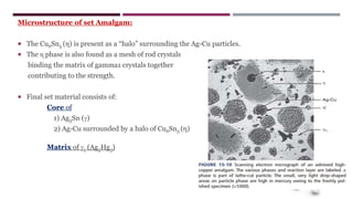Amalgam | PPTX