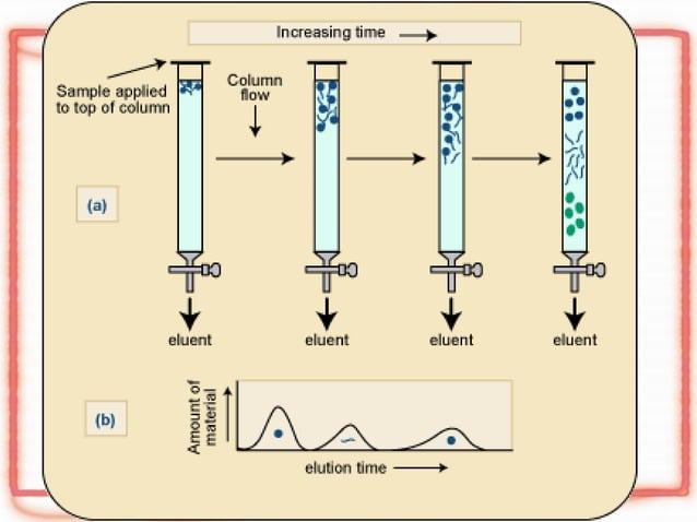 Ion Exchange Chromatography | PDF | Chemistry | Science