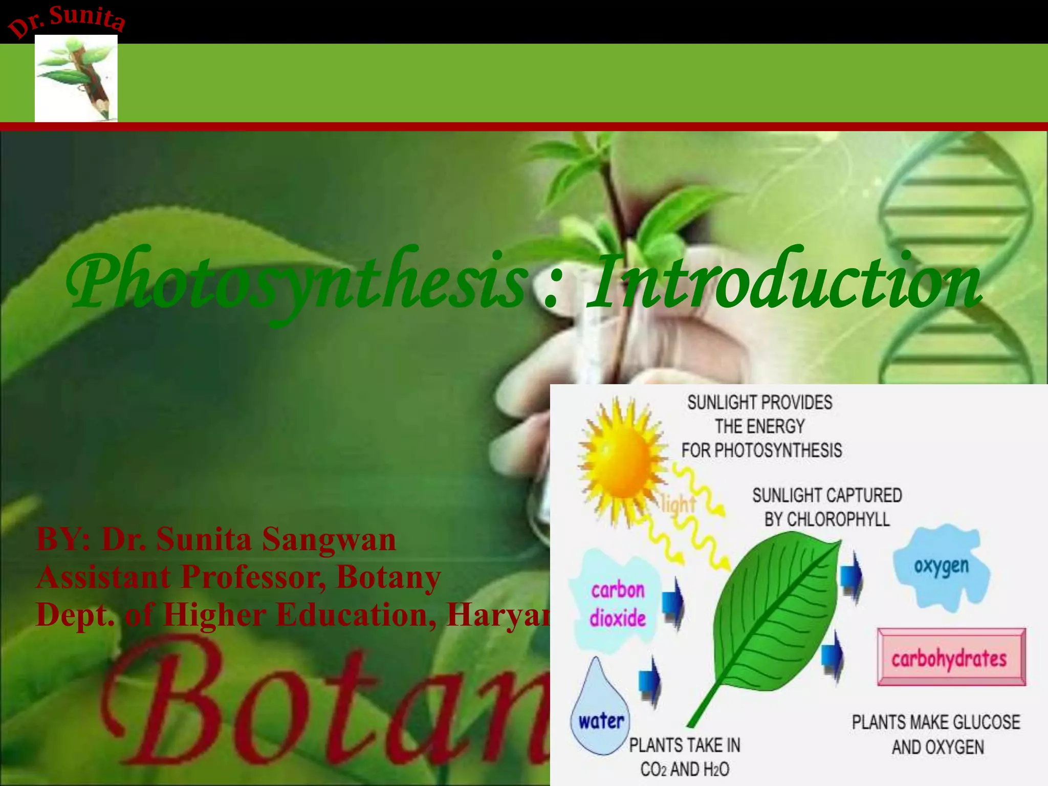 Photosynthesis - Introduction | PPT