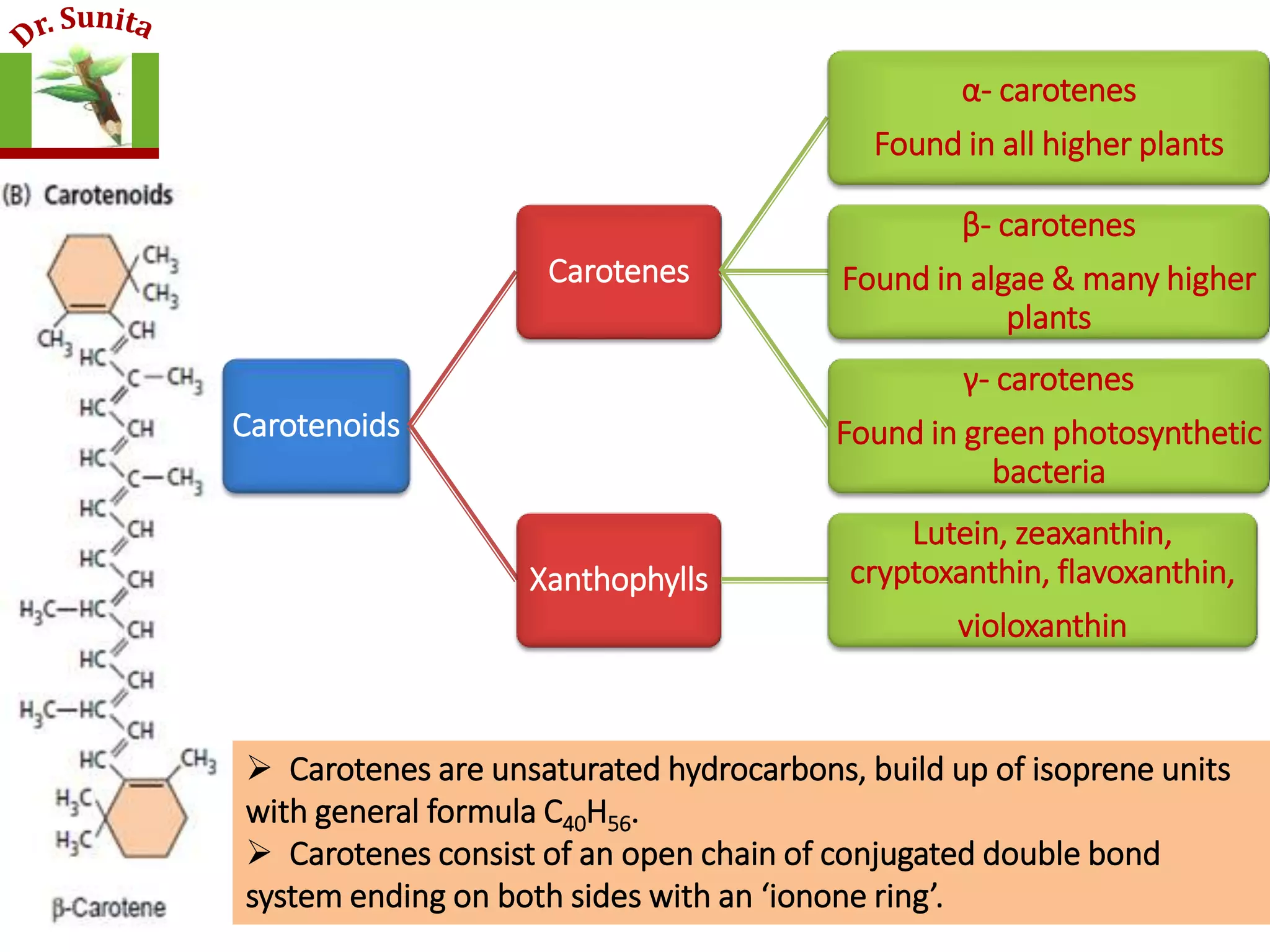 Photosynthesis - Introduction | PPT