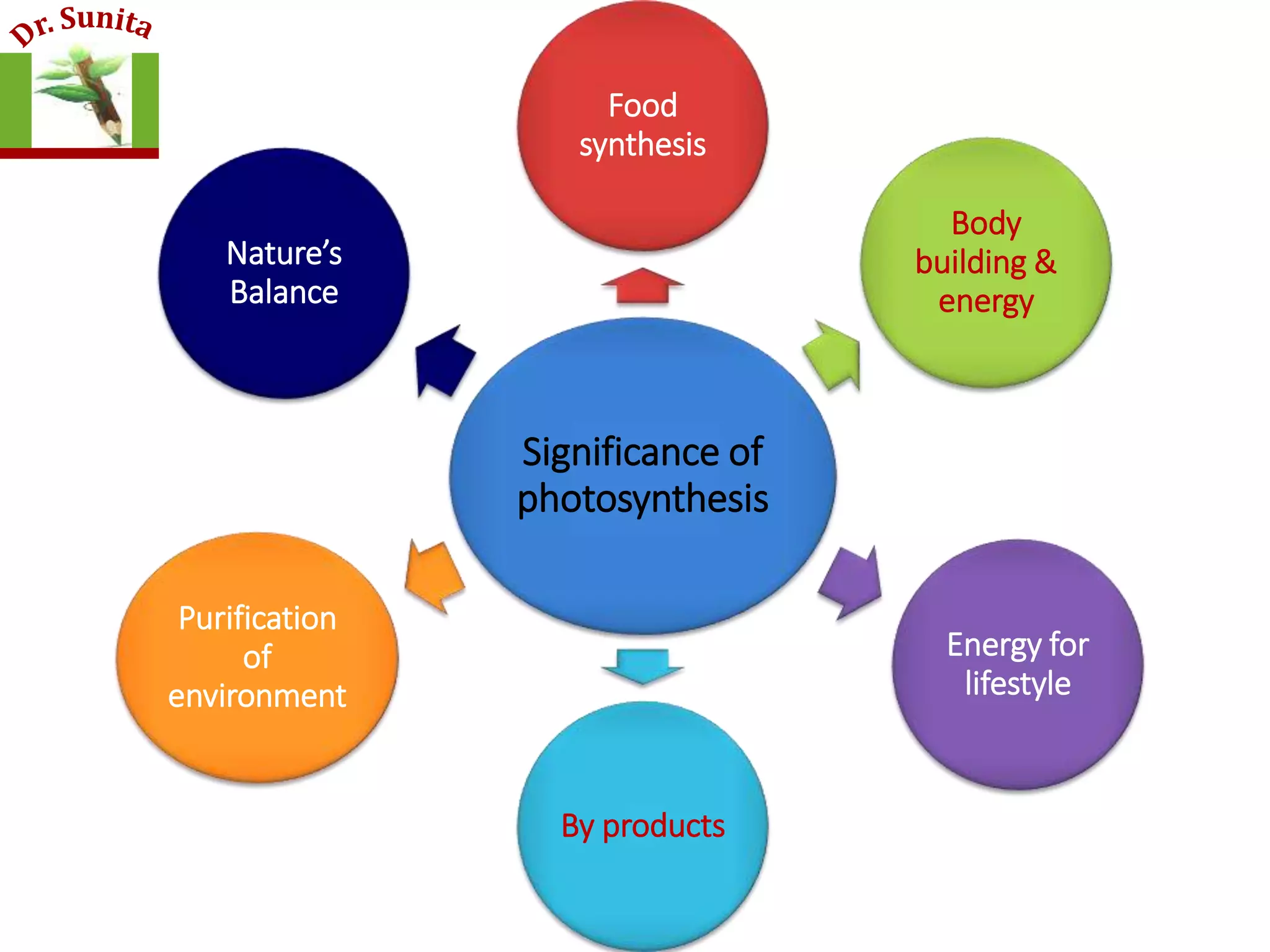 Photosynthesis - Introduction | PPT