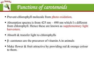 Photosynthesis - Introduction | PPT