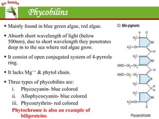 Photosynthesis - Introduction | PPT