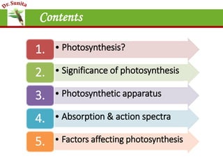 Photosynthesis - Introduction | PPT