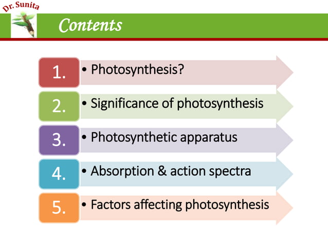 Photosynthesis - Introduction | PPT