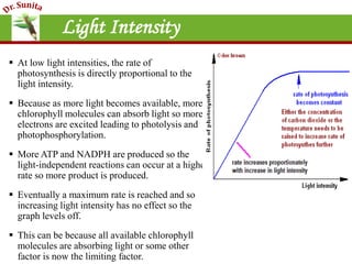 Photosynthesis - Introduction | PPT