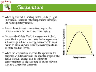 Photosynthesis - Introduction | PPT