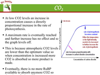 Photosynthesis - Introduction | PPT