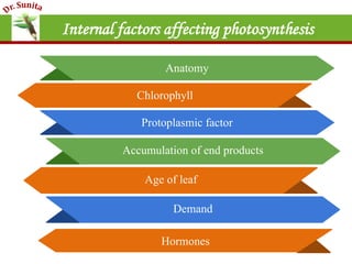 Photosynthesis - Introduction | PPT