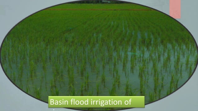 1. irrigation need and mode of irrigation | PDF | Agriculture | Industries