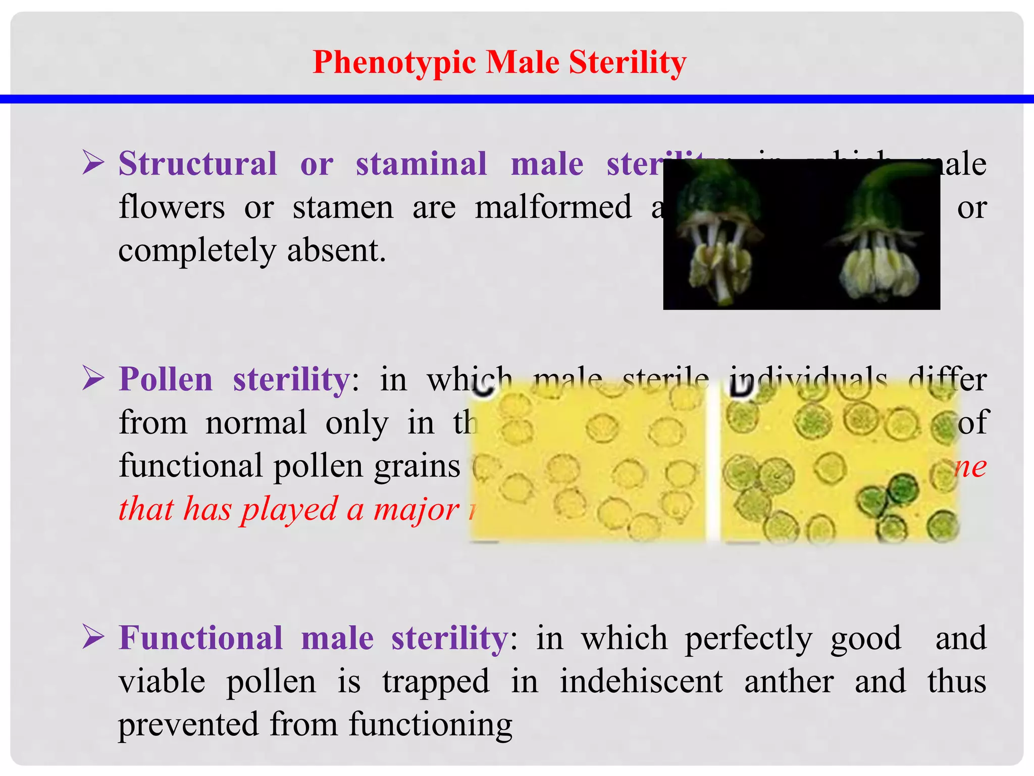 Male sterility | PPT