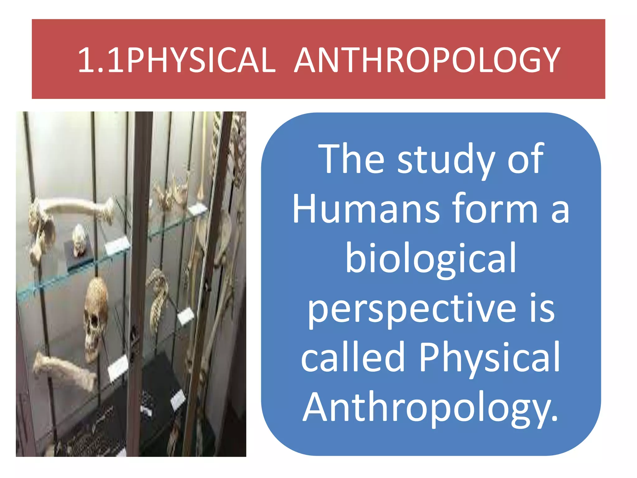 An Introduction to Anthropology | PPTX