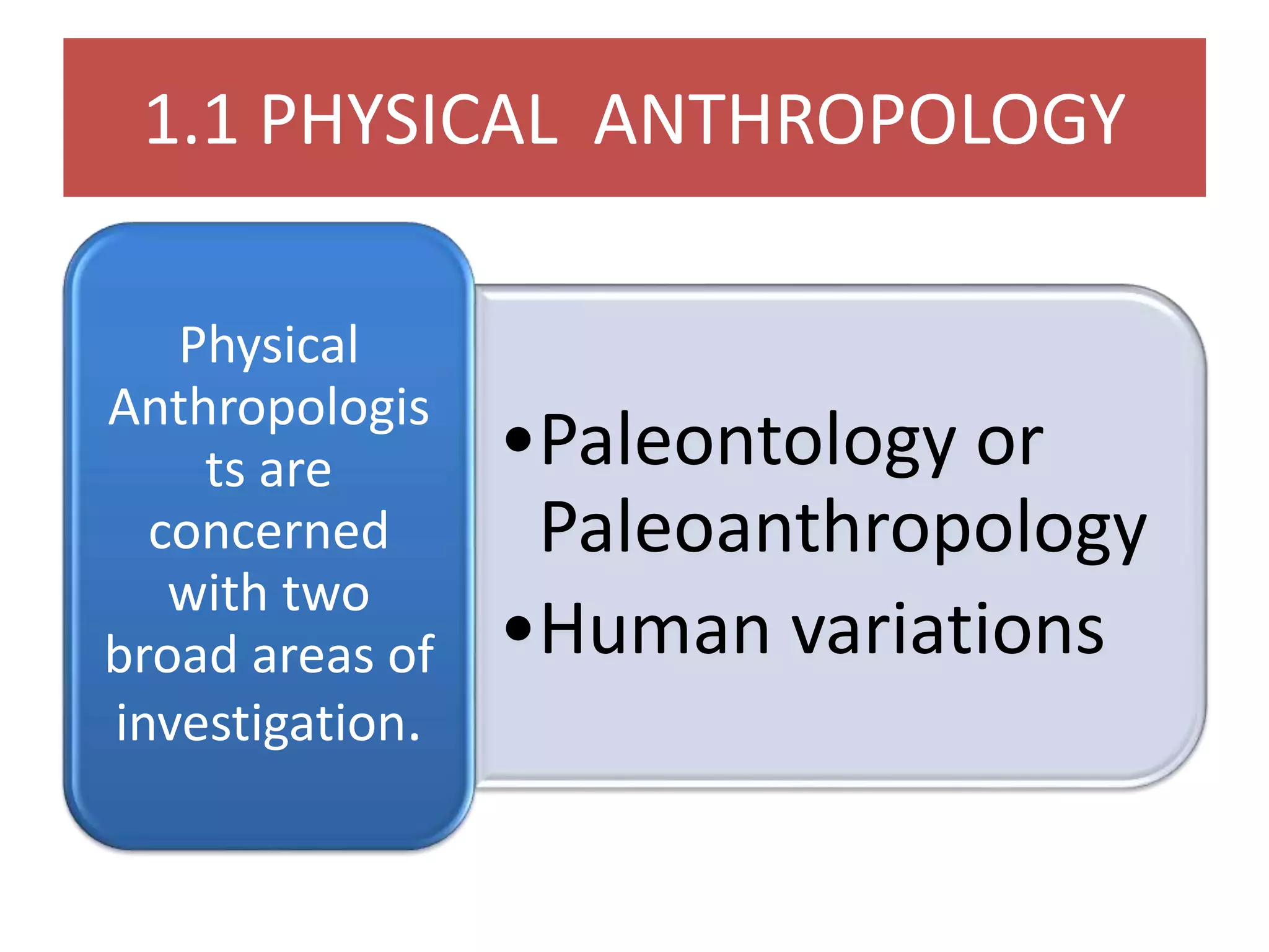 An Introduction to Anthropology | PPTX