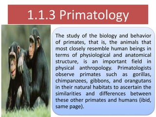 An Introduction to Anthropology | PPTX