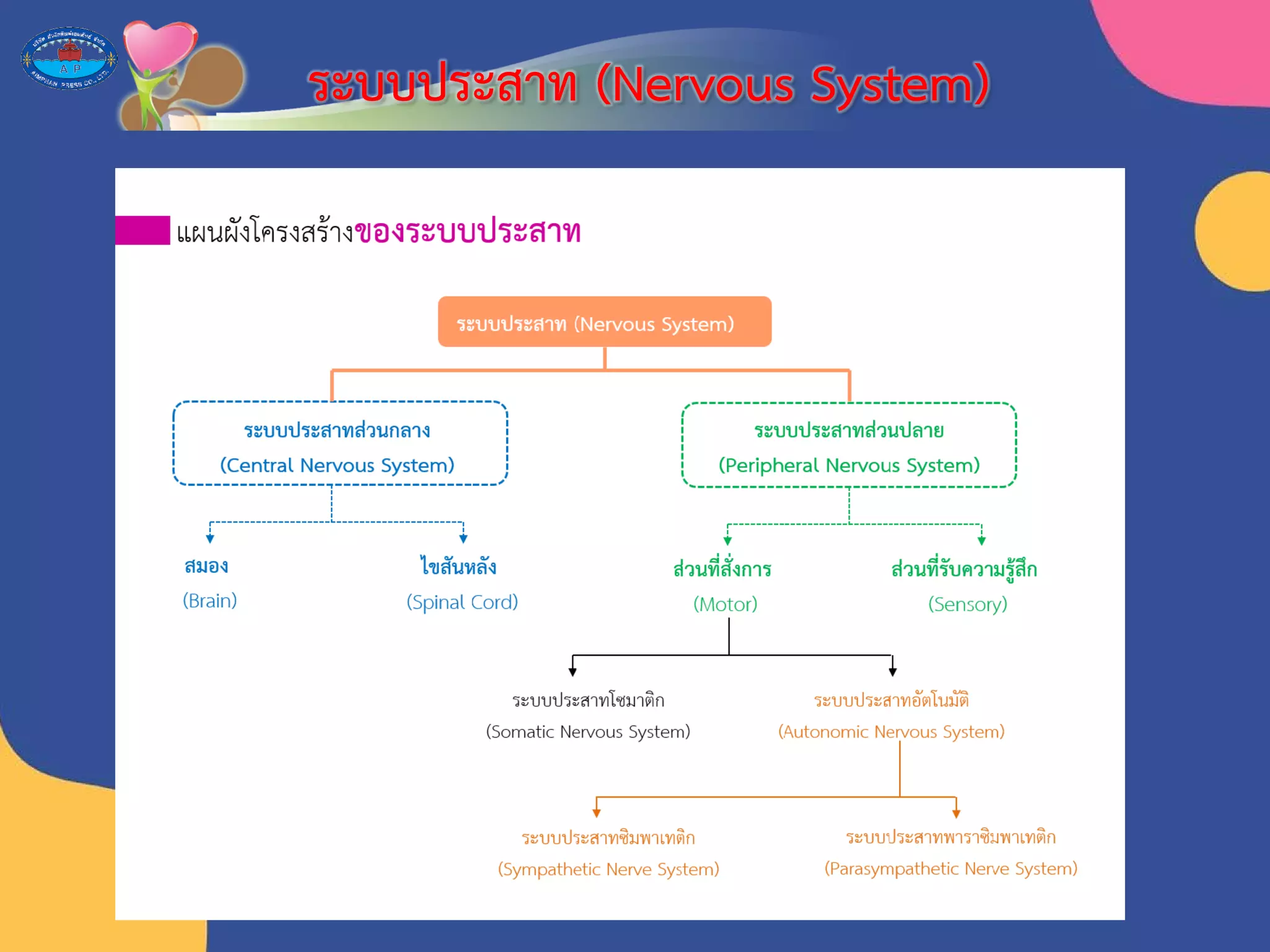 1.2 brain system | PPT