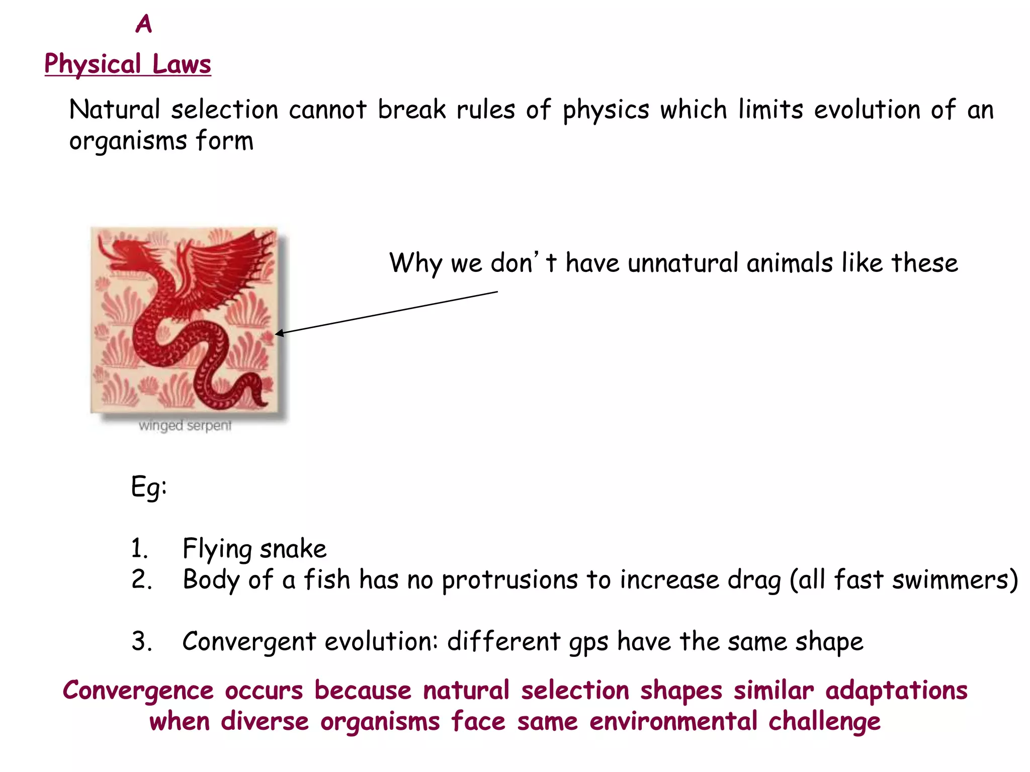 1. animal form and function. animal form and function. animal form and ...