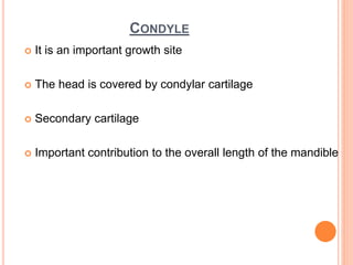 POST NATAL GROWTH AND DEVELOPMENT OF MAXILLA AND MANDIBLE | PPTX
