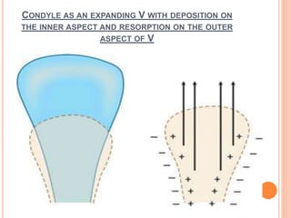 POST NATAL GROWTH AND DEVELOPMENT OF MAXILLA AND MANDIBLE | PPTX