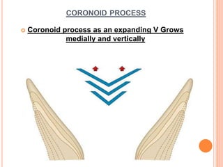 POST NATAL GROWTH AND DEVELOPMENT OF MAXILLA AND MANDIBLE | PPTX