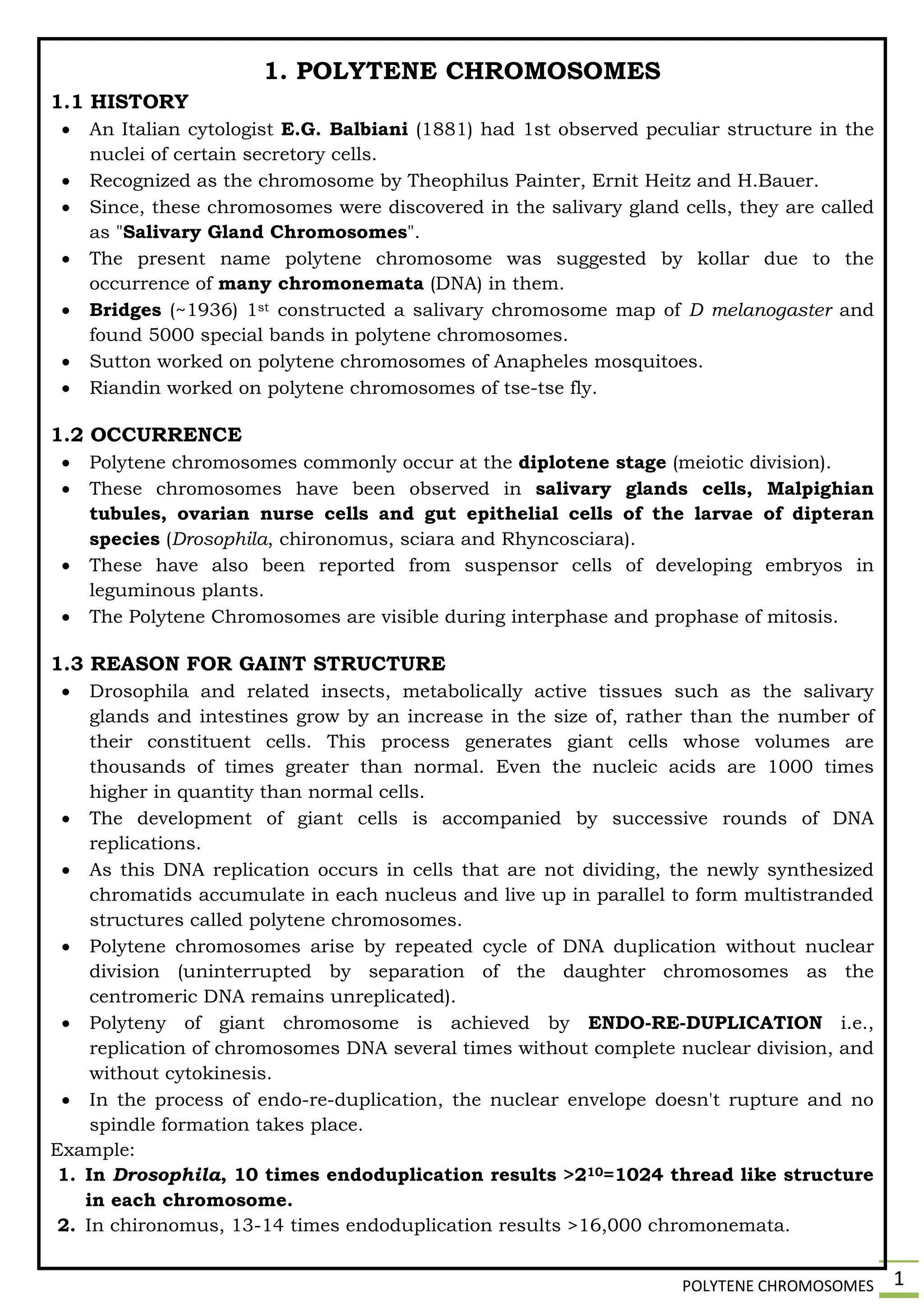 2. Special chromosomes - Polytene chromosomes | PDF