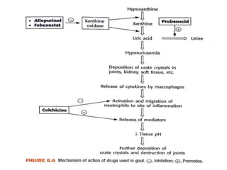Gout-The King of diseases & the disease of Kings | PPTX