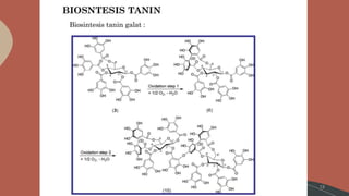Tanin Fitokimia | PPTX
