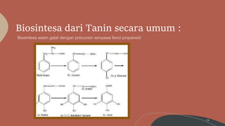 Tanin Fitokimia | PPTX