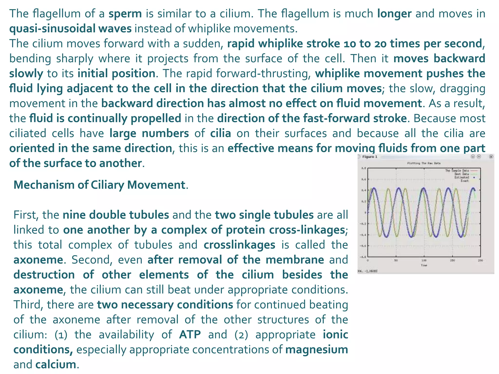 introduction to human physiology | PPTX