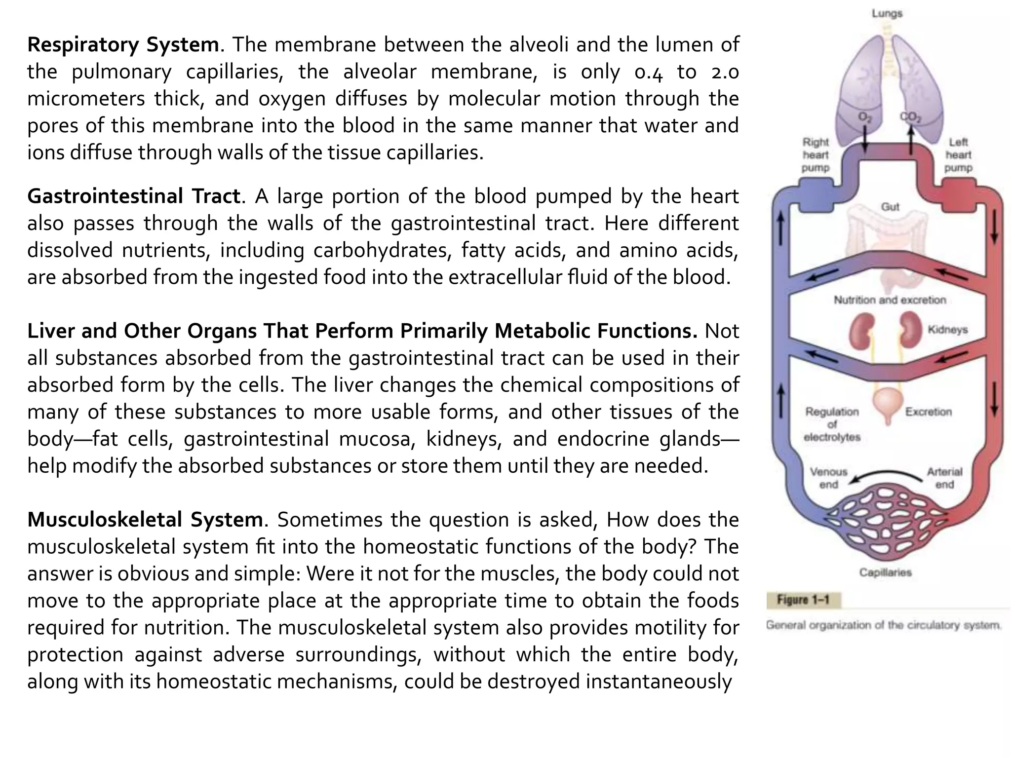 introduction to human physiology | PPTX