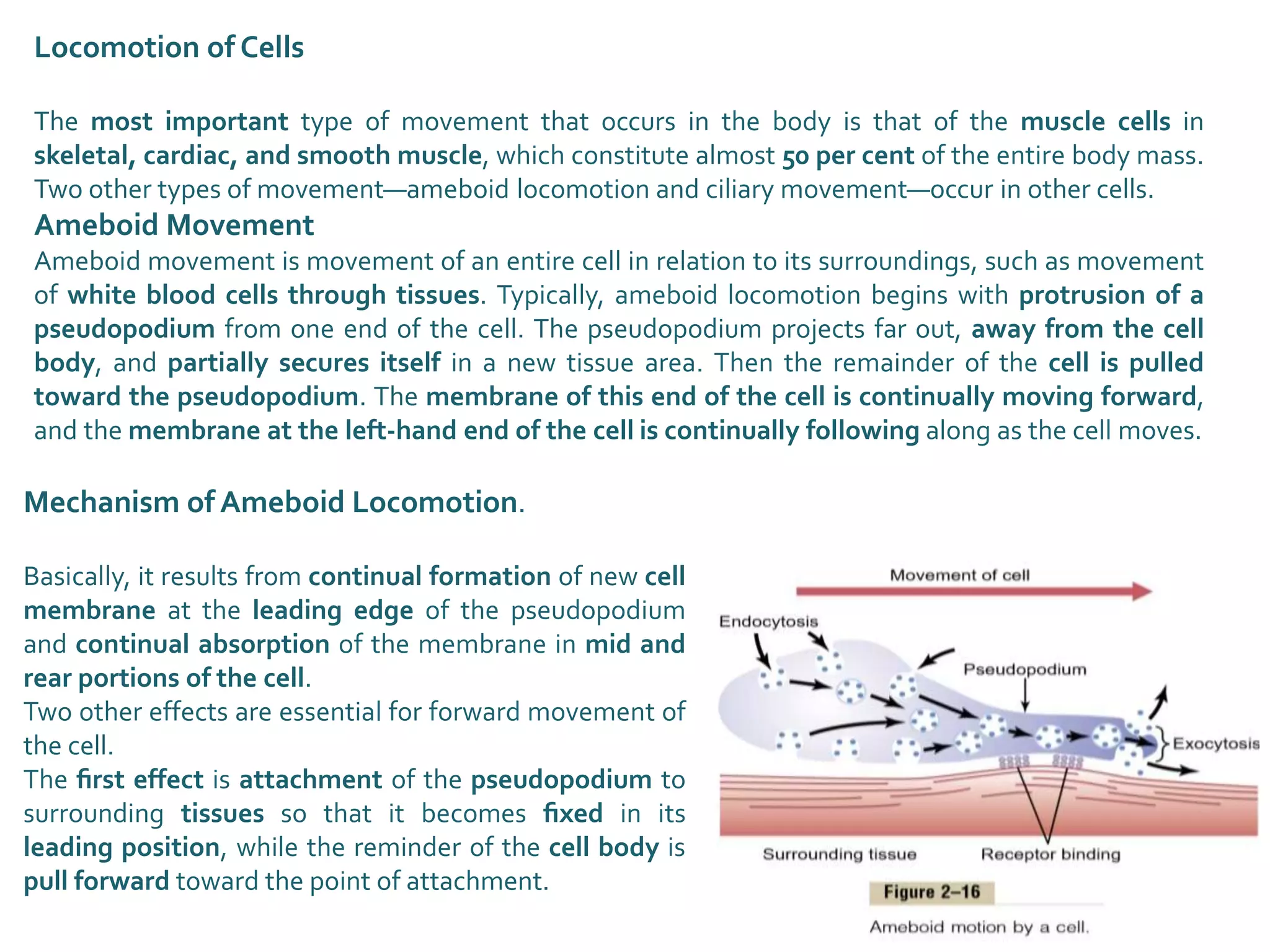 introduction to human physiology | PPTX