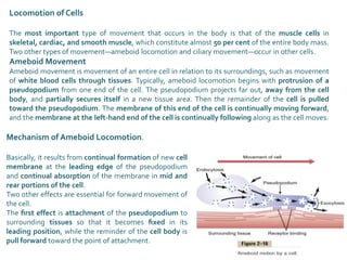 introduction to human physiology | PPTX