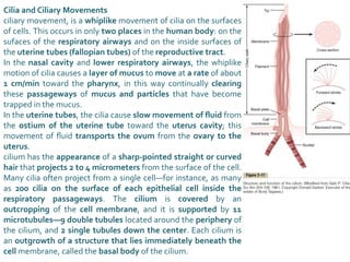 introduction to human physiology | PPTX