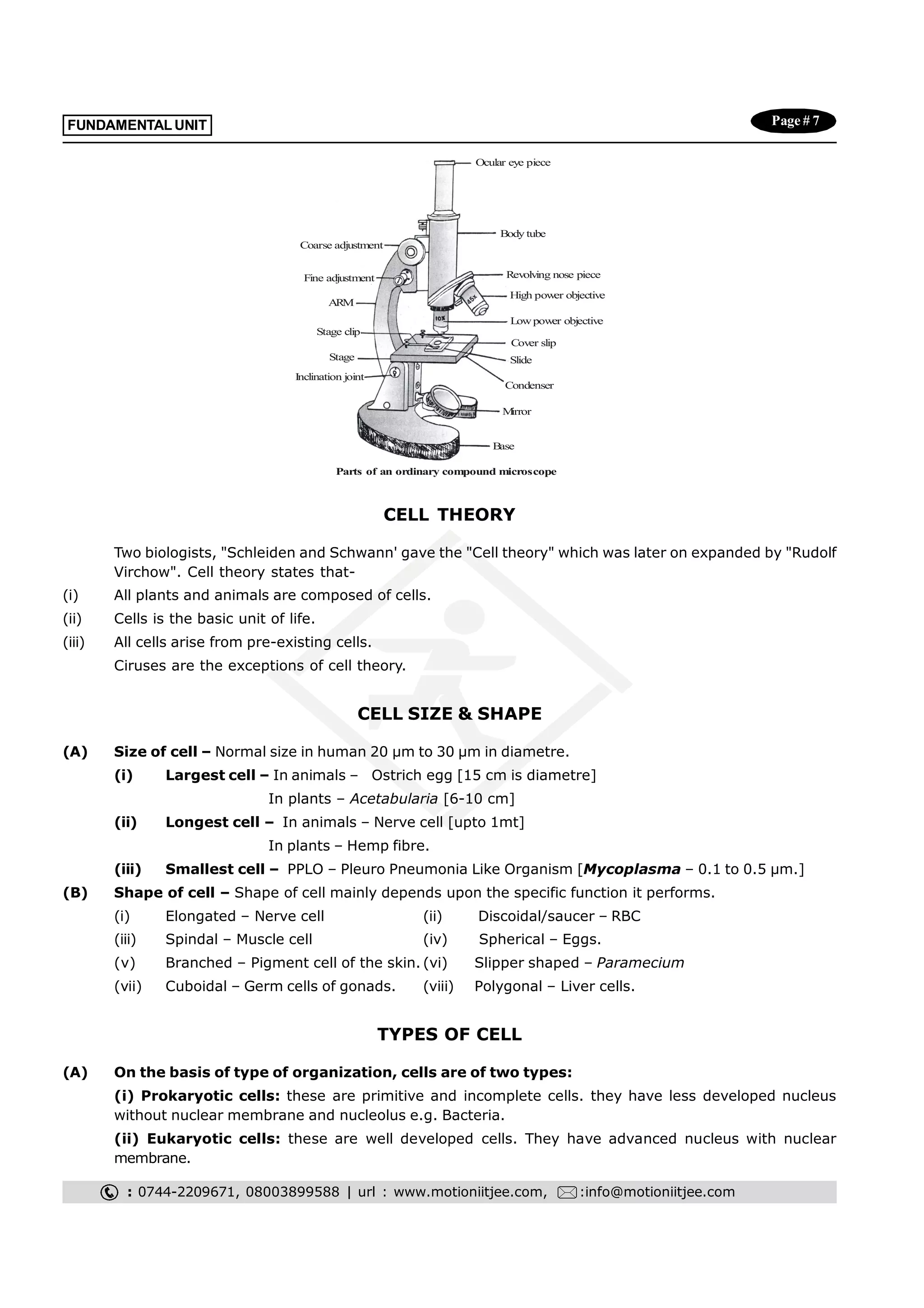 1. fundamental unit | PDF