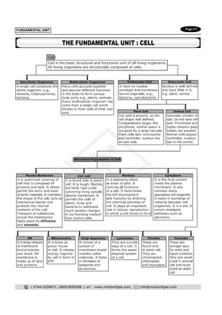 1. fundamental unit | PDF