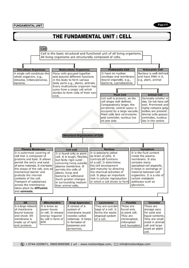 1. fundamental unit | PDF