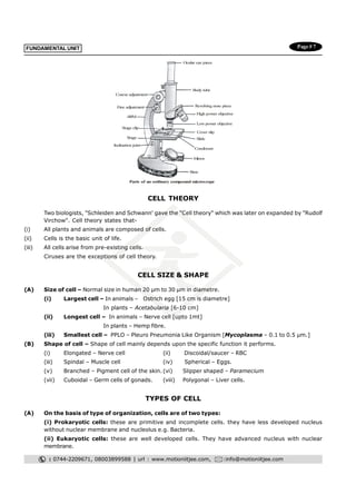 1. fundamental unit | PDF