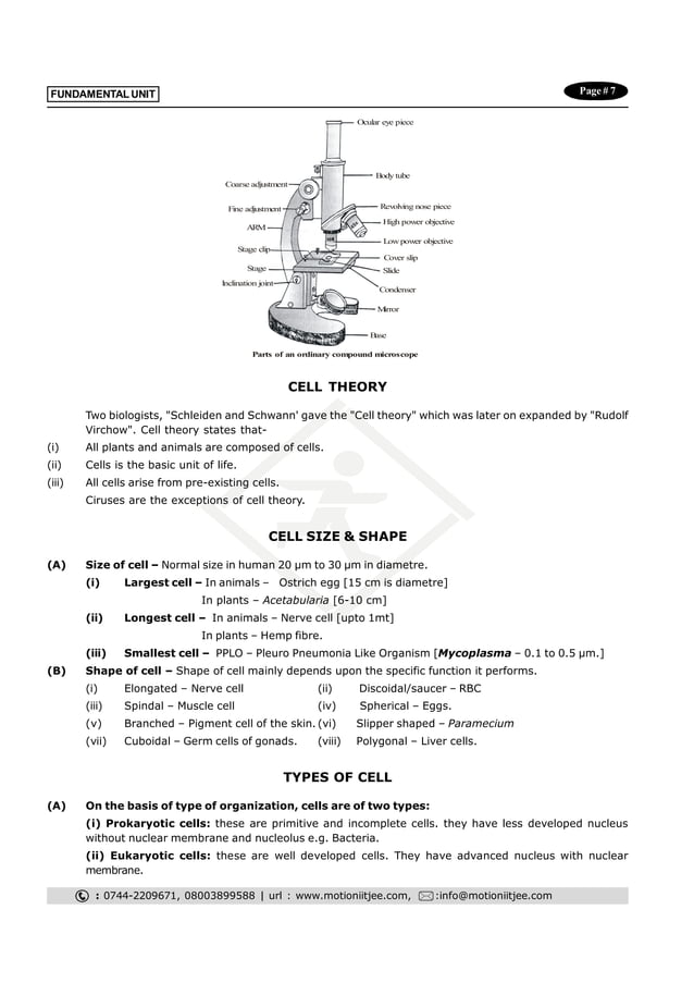 1. fundamental unit | PDF