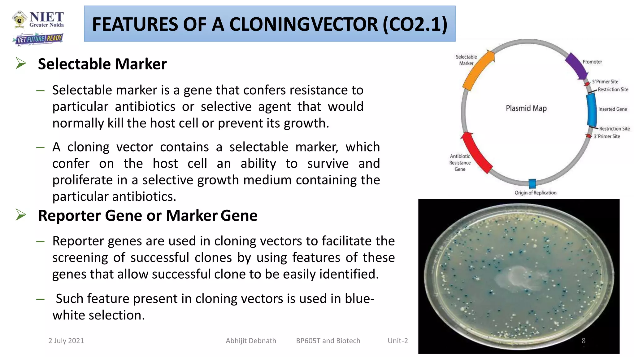 Cloning vectors | PPTX
