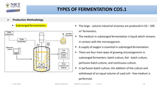 Fermentation | PPTX