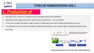 Fermentation | PPTX